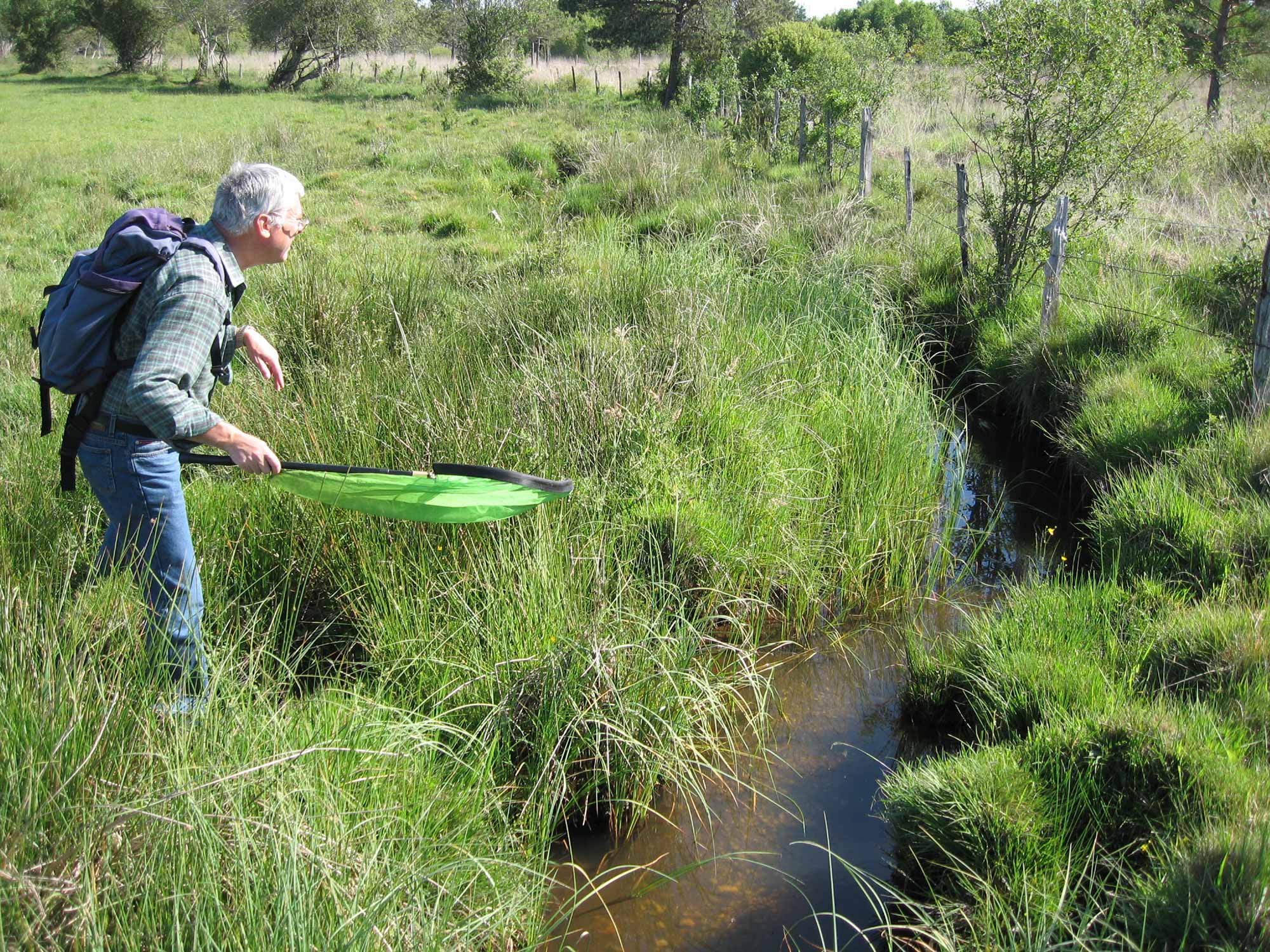 Protection de la faune
